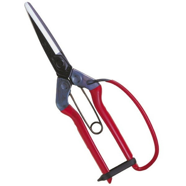 商品説明★ 果実の摘果作業・野菜の収穫用(玉ねぎ・きゅうりなど)スペック* 全長サイズ:215mm* 本体重量:145g* 刃渡り:63mm* 材質:刃・高級炭素刃物工具鋼/柄・鋼板製、プラスチックコーティング