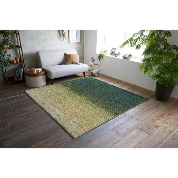 商品説明★ 濃濃・中・淡どの濃度にも合わせやすく 主張しすぎないカラーリングで、よりフローリングや家具に馴染む、飽きのこないカラ—リング。フィーラと呼ばれる業界トップクラスの極細ナイロン糸を高密度に織り上げたグラデーションラグ。防炎・防ダニ...