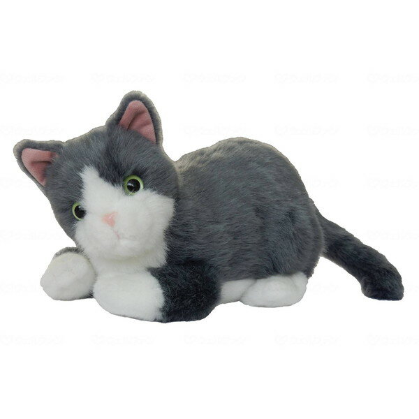 商品説明★ 高齢者の自立を支援するコミュニケーションロボット★ 服薬や施錠、水分補給など、つい忘れがちな動作の誘導メッセージを録音すると、毎日定時に再生し、ご家族に代わってお知らせします。★ 「きょうは何日?」「いま何時?」と話しかけると、...