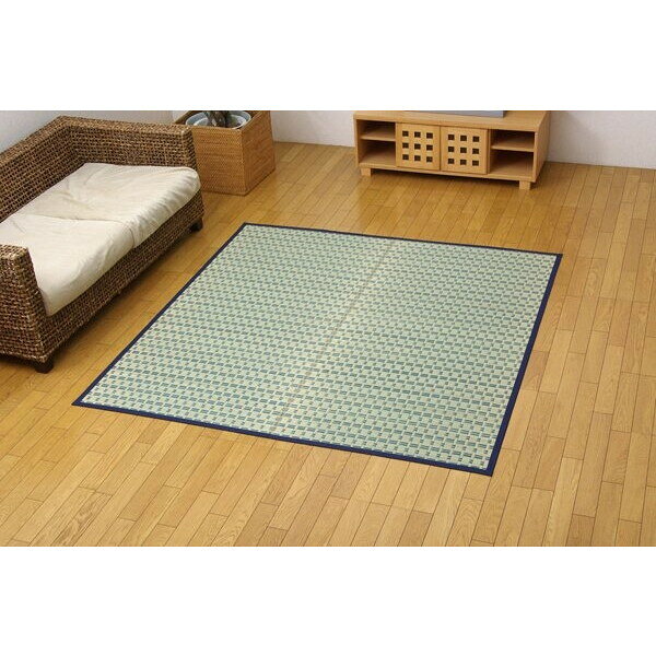 商品説明★ い草敷物の中でも高級品とされる「掛川織り」のカーペットです。★ 掛川織は九州筑後地方の伝統的な織り方です。大きな目と小さな目に交互に織り込んだ美しく洗練されたモダンなデザインが人気です。また、厳選された良質の太く長いい草を高密度...