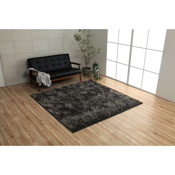 商品説明★ お部屋に合わせて選べる3サイズ6色展開制菌加工を施しているため、いつでも清潔にご使用いただけます。★ 裏面にはフローリングの上でもご使用できるよう、滑りにくい加工を施しております。★ ネット使用時、ご家庭の洗濯機で洗えうことがで...
