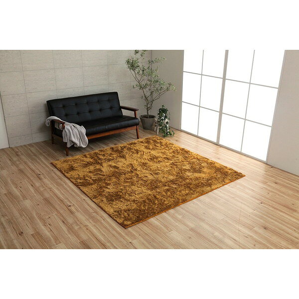 商品説明★ お部屋に合わせて選べる3サイズ6色展開制菌加工を施しているため、いつでも清潔にご使用いただけます。★ 裏面にはフローリングの上でもご使用できるよう、滑りにくい加工を施しております。★ ネット使用時、ご家庭の洗濯機で洗えうことがで...