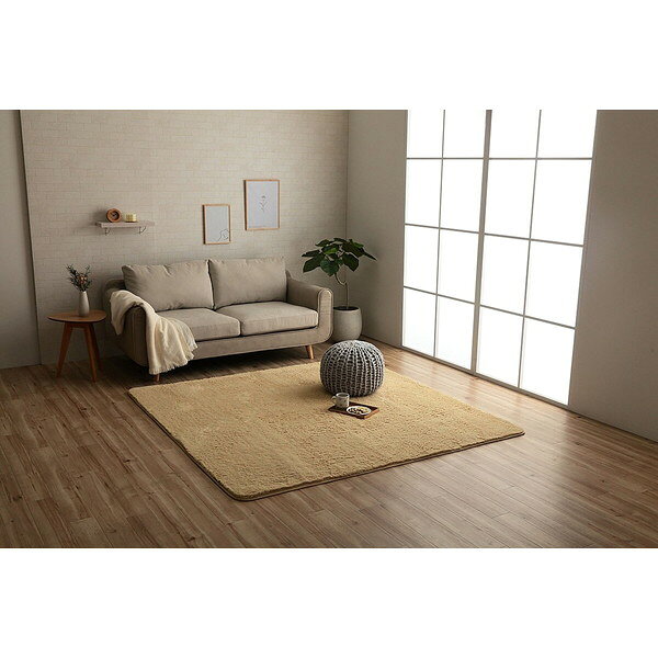 商品説明★ お部屋に合わせて選べる6サイズ7色展開表地にフィラメント糸(極めて長い繊維)を使用しているため、遊び毛が出にくいです。★ パイルの長さは約18mmと適度な長さで、さらさらふわふわとしたやさしいタッチ感です。★ 裏面にはフローリン...