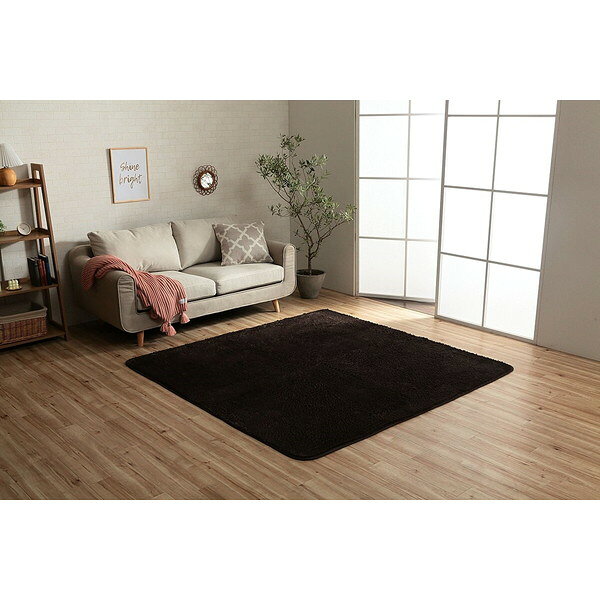 商品説明★ お部屋に合わせて選べる6サイズ7色展開表地にフィラメント糸(極めて長い繊維)を使用しているため、遊び毛が出にくいです。★ パイルの長さは約18mmと適度な長さで、さらさらふわふわとしたやさしいタッチ感です。★ 裏面にはフローリン...