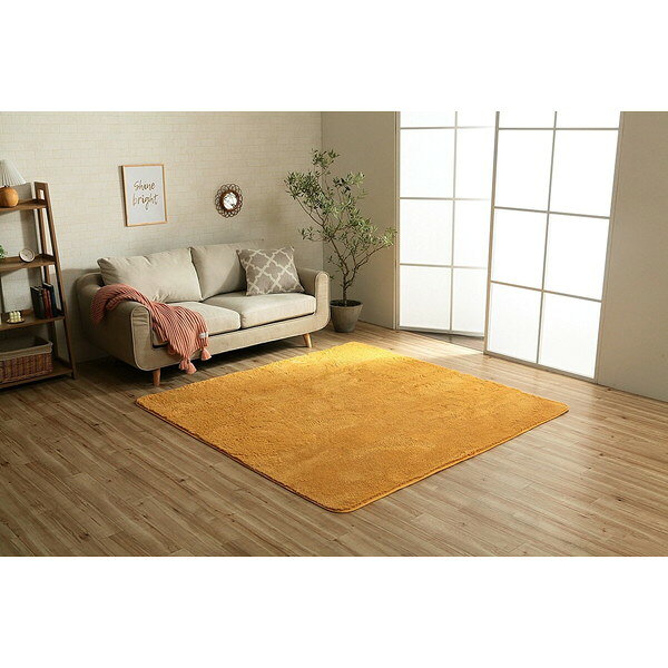 商品説明★ お部屋に合わせて選べる6サイズ7色展開表地にフィラメント糸(極めて長い繊維)を使用しているため、遊び毛が出にくいです。★ パイルの長さは約18mmと適度な長さで、さらさらふわふわとしたやさしいタッチ感です。★ 裏面にはフローリン...