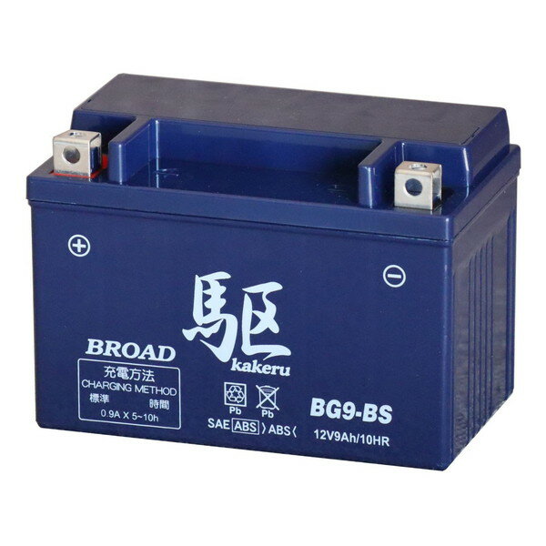 商品説明★ 世界100ヶ国以上で使われている高品質バッテリー★ 製品補償6ヶ月★ 電極版を改良して高容量化を実現★ 他社互換機種：YTX9-BS、GTX9-BS、FTX9-BS、TX9-BSスペック* 容量: 9Ah* 商品サイズ: 幅15...
