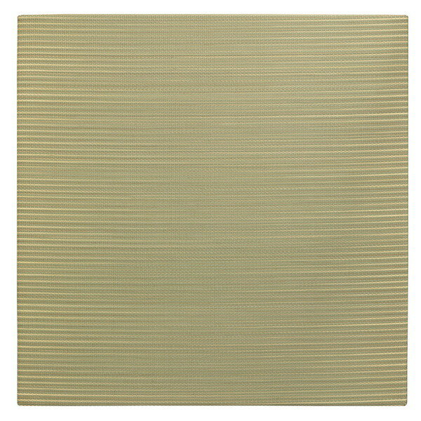 商品説明★ 天然い草×樹脂素材。調湿効果や抗菌性など、天然い草の自然の機能や風合いはそのままに、丈夫な樹脂パイプを織り交ぜることで耐久性をアップ!異なる素材のいい性質を残したハイブリッド置き畳。樹脂パイプは傷つきにくく、日焼けなどによる色褪...