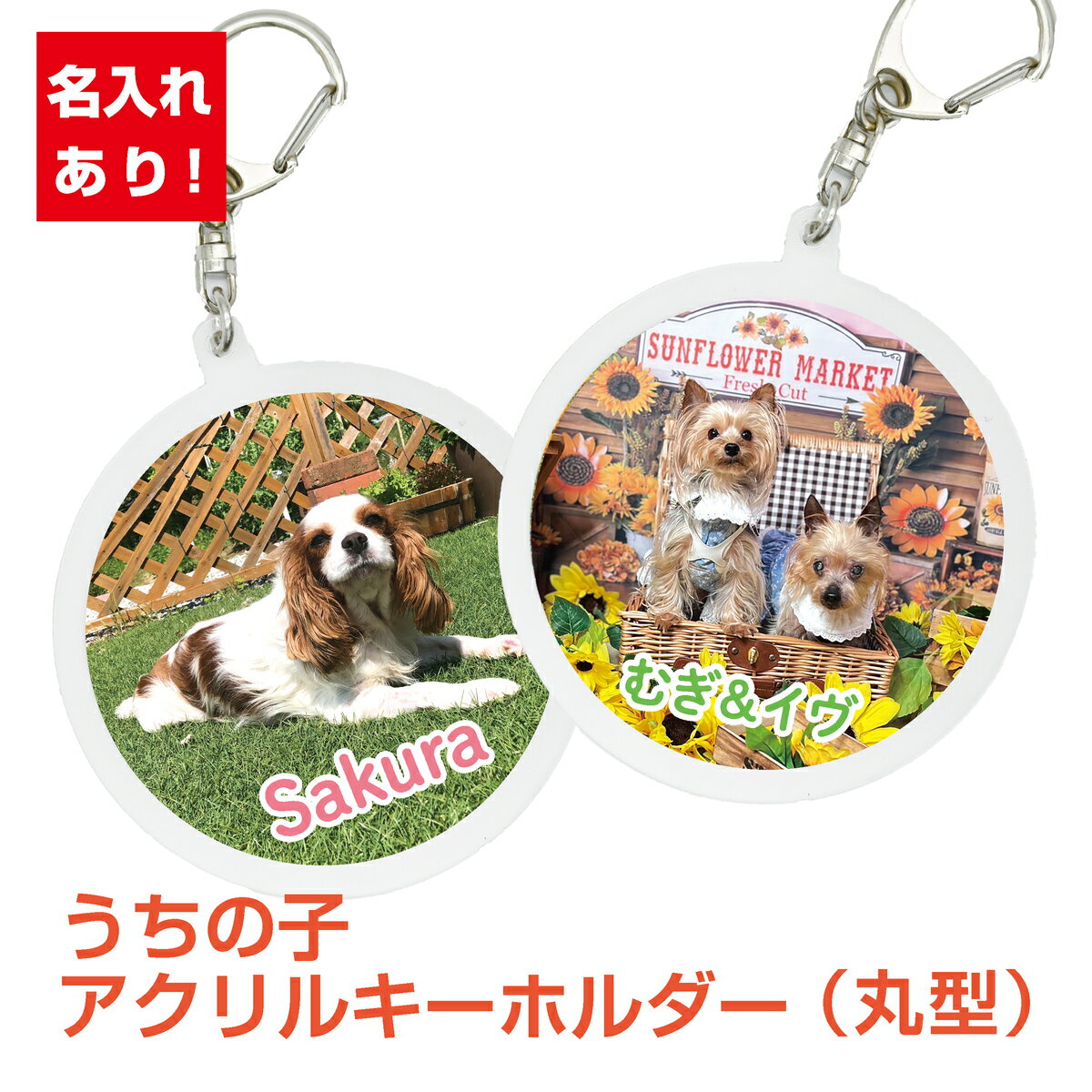 うちの子アクリルキーホルダー　丸型Ver. キラッと輝く自慢のうちの子！うちの子がアクリルキーホルダーになっちゃいます！(犬・猫・ペットのオリジナルアクリルキーホルダー) キラッと輝く自慢のうちの子！うちの子がアクリルキーホルダーになっちゃ...