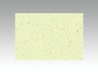 オールシーズ使える柄です。豆インキ使用。商品コード00108875メーカー名カミイソ産商サイズ380×260mm材質紙（その他）関連商品(バラ)テ-ブルマットNo.304 天の川 緑 100枚関連商品(小箱)テ-ブルマットNo.304 天の...