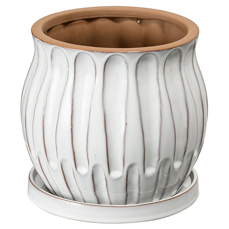 白の陶器鉢(5号サイズ)です。シンプルでありながら存在感のあるデザインが、お部屋やオフィスのインテリアにぴったり。縦に入った柔らかなラインが、植物の美しさを一層引き立てます。受け皿付きで水やりの管理も簡単。観葉植物や多肉植物など、さまざまな...
