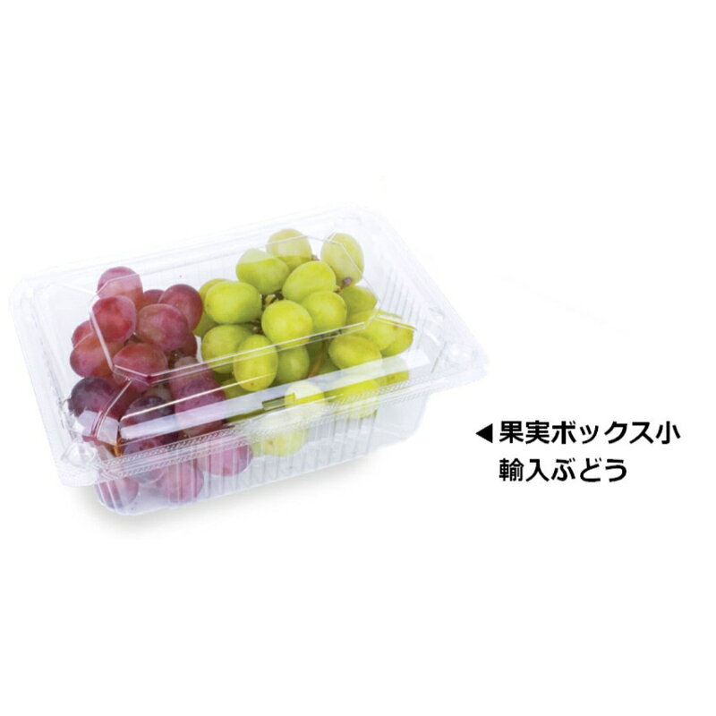 本体が深い設計のため、パッキング時の収まりが良くなります。本体と蓋の間に空気孔(ダクト)を設け、通気性に配慮しています。ズレ防止のスタックがある設計です。ボリューム陳列も可能です。サイズ：180×131×H67mm材質：エコAPET重量：2...