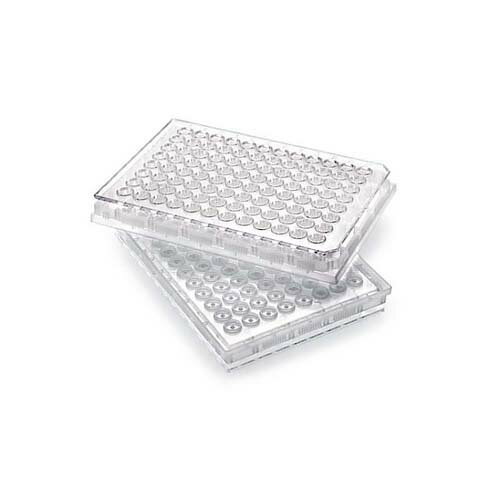 ●ろ過面積、cm＜sup＞2＜／sup＞：0.28●フィルター孔径、マイクロm：0.45●容量、ml：0.05?0.25●デバイス材質：スチレン●材質：親水性PVDF●アプリケーション：プレートキットとして使用、 プロテインキナーゼ／ホスフ...