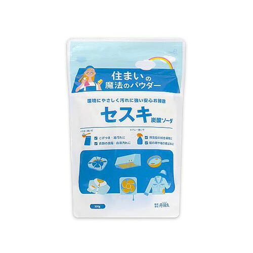 ●ベトベト油汚れを落とします●レンジまわりや換気扇などのお掃除の他、水に溶けやすい為お洗濯にも使えます●襟や袖汚れ、血液汚れに●商品サイズ：幅／130mm、奥行／32mm、高さ／197mm、重量／312g●容量：300g●事業者向け商品です...