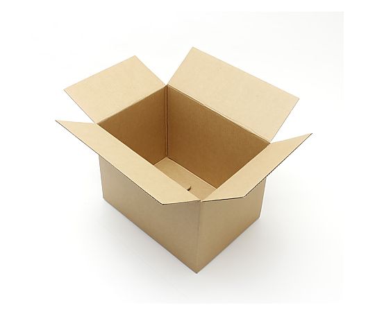 ●箱を広げると自動で底が組み上がるワンタッチ式です。●テープ不要で作業性アップ！●商品サイズ：内寸法／横310×縦220×高220mm●材質：Bフルート段ボール●入数：1パック(20枚)●事業者向け商品です。リニューアルに伴い、パッケージ・...