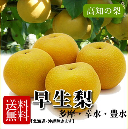 高知産早生梨品種は入荷時で変わります