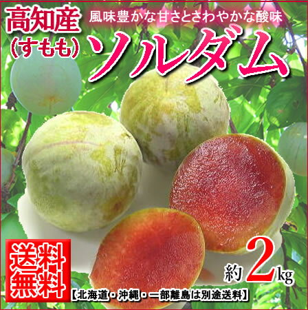 品名 高知すももソルダム 内容量 約2キロ 産地 高知県 消費期限 なるべくお早めにお召し上がりください 保存方法 冷蔵保存又は涼しい所。 送料 送料無料 (北海道1000・沖縄は1500円ご負担願います。) 注意事項 通常は冷蔵発送、お客...