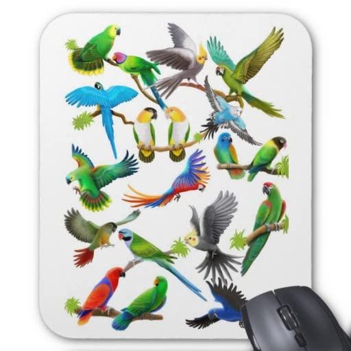 インコの仲間のイラストのマウスパッド：フォトパッド（世界の野鳥シリーズ） [並行輸入品]この商品は、アメリカのZazzle（カリフォルニア州）から輸入・販売するZazzleのオリジナル製品です。マウスパッドの大きさは、小さ過ぎず大き過ぎない...