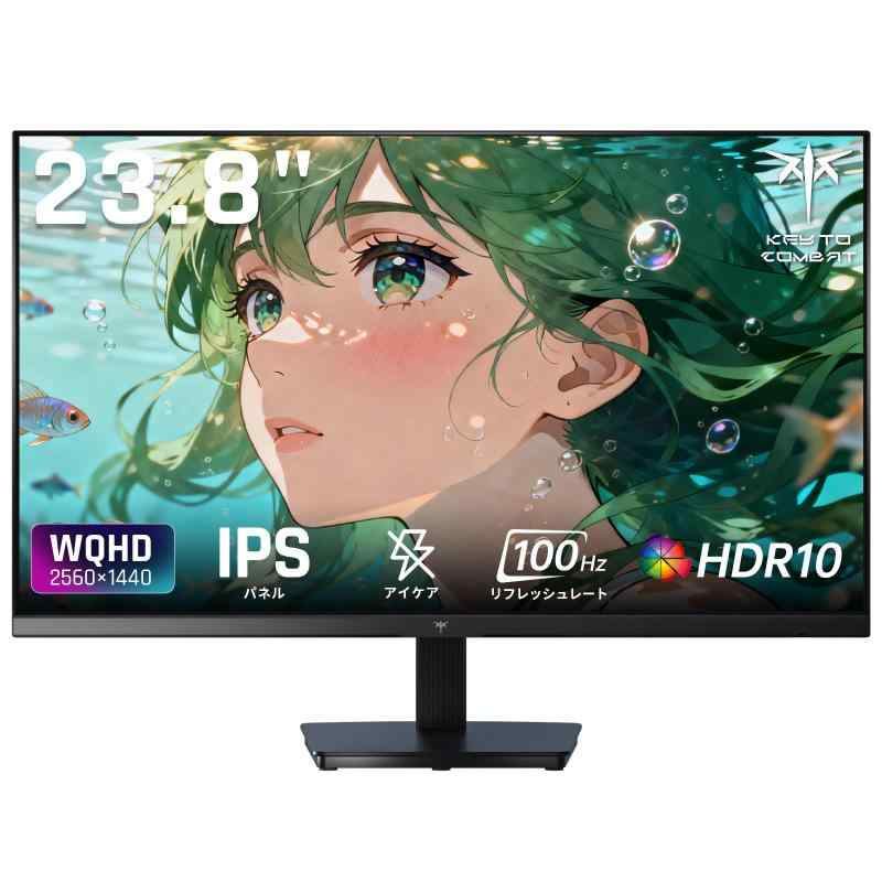 KEY TO COMBATインチモニター