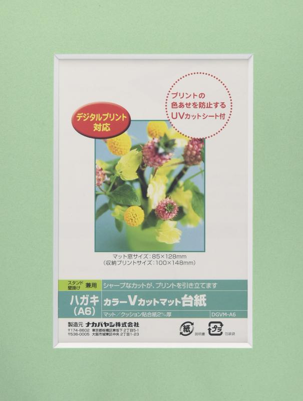 ナカバヤシ A6判 カラーVカットマット台紙 グリーン DGVM-A6-G製品概要:カラーVカットマット台紙 プリントをホコリから保護する透明保護シート付。スタンド・壁掛け兼用タイプ A6判