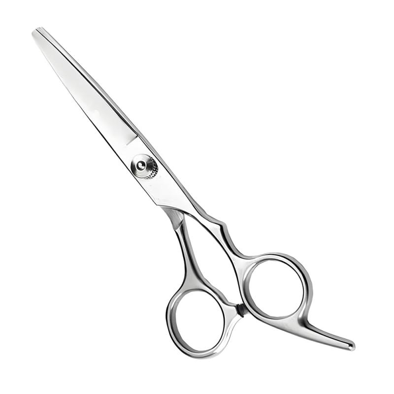 FUGSHIYI 散髪用ハサミ 髪切りはさみ カットハサミ 子供ヘアカット用 前髪カット 散髪セット 小さい 左利き対応 日本製 家庭用 ヘアカッター 初心者用【高品質ステンレス製のカットハサミ】この髪切りはさみは高品質なステンレス素材を採...