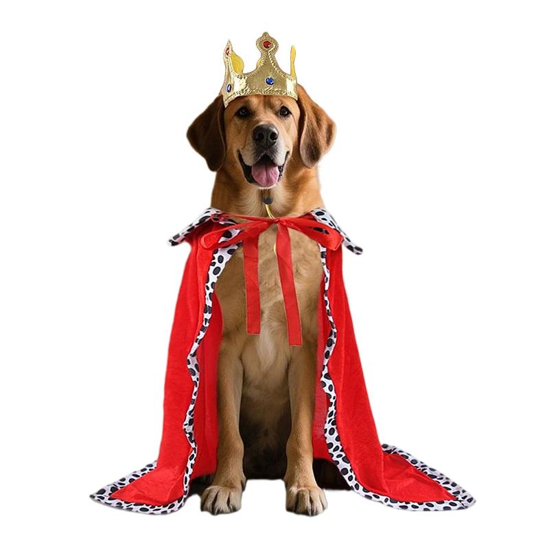犬 王様に変身マント 犬服 仮装 王子様 コスプレ ハロウィン マント 王冠 2点セット 犬用コスチューム おもしろ ペット服 帽子 パーティー 可愛いドッグウェア 中型犬 大型犬 誕生日 記念撮愛犬をハロウィンパーティーの王様に変身させよ...