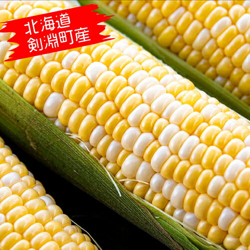 ●産地直送品なので、システム上「ラッピング選択」はできますが、ラッピングは出来ません。 商品名スイートコーン(ドルチェドリーム)産地北海道剣淵町(けんぶちVIVAマルシェ)内容量10本【配送について】佐川急便にて発送致します。送料は無料（沖...