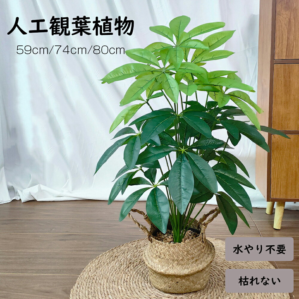 商品情報 【商品名】人工観葉植物 【商品番号】pyon15 【商品詳細】 【材質】：（本体）ポリエステル、ポリプロピレン、ポリエチレン ※この商品には鉢は付属していませんので、別途鉢を購入する必要があります。ご了承ください。 【キーワード】...