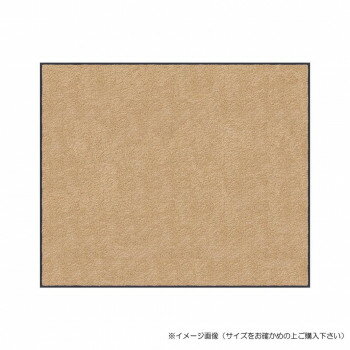 「北海道・沖縄・離島・一部地域へのお届けは別途送料を請求させていただきます。」「お客様都合でのキャンセルの場合、出荷前後にかかわらずキャンセル料などの手数料が発生いたしますので予めご了承ください。」「メーカーより取り寄せ商品のため、在庫状況...