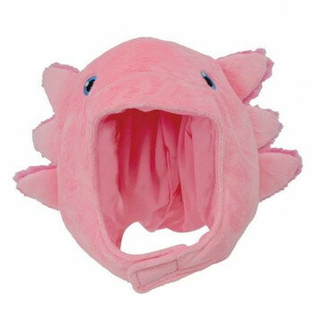 「北海道・沖縄・離島・一部地域へのお届けは別途送料を請求させていただきます。」「お客様都合でのキャンセルの場合、出荷前後にかかわらずキャンセル料などの手数料が発生いたしますので予めご了承ください。」「メーカーより取り寄せ商品のため、在庫状況...