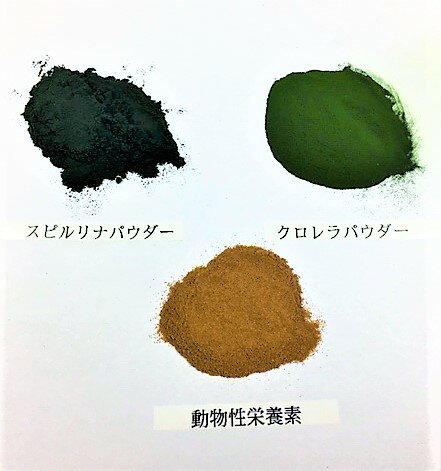 オリジナル混合栄養素パウダ−・添加物用【ne:50g】幼魚、成魚用の飼料に添加して頂く総合的な栄養飼料になります。成分はスピルリナ（色揚げ成分）クロレラ（成長促進）動物栄養素（産卵促進や健康）、この3種類を混合してメダカの健康や成長促進色揚...