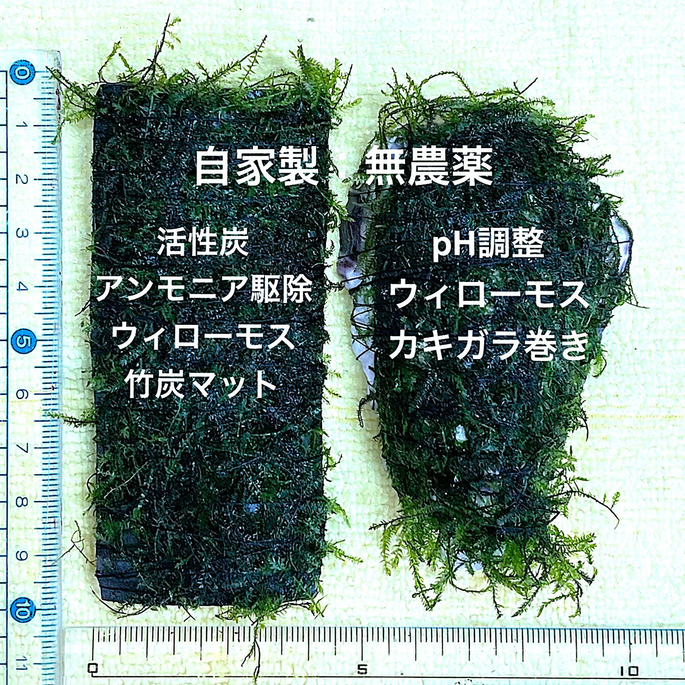 ●※活性炭・アンモニア駆除★PH調整用★2種類セット★自家製★初出荷★完全無農薬★水草★ウィローモス巻き★【竹炭マット4枚：カキガラ巻き4個】合計：8個セット・サイズ(約5cm×10cm） ●カキガラ巻き・木綿糸でウィローモスをカキガラに巻...