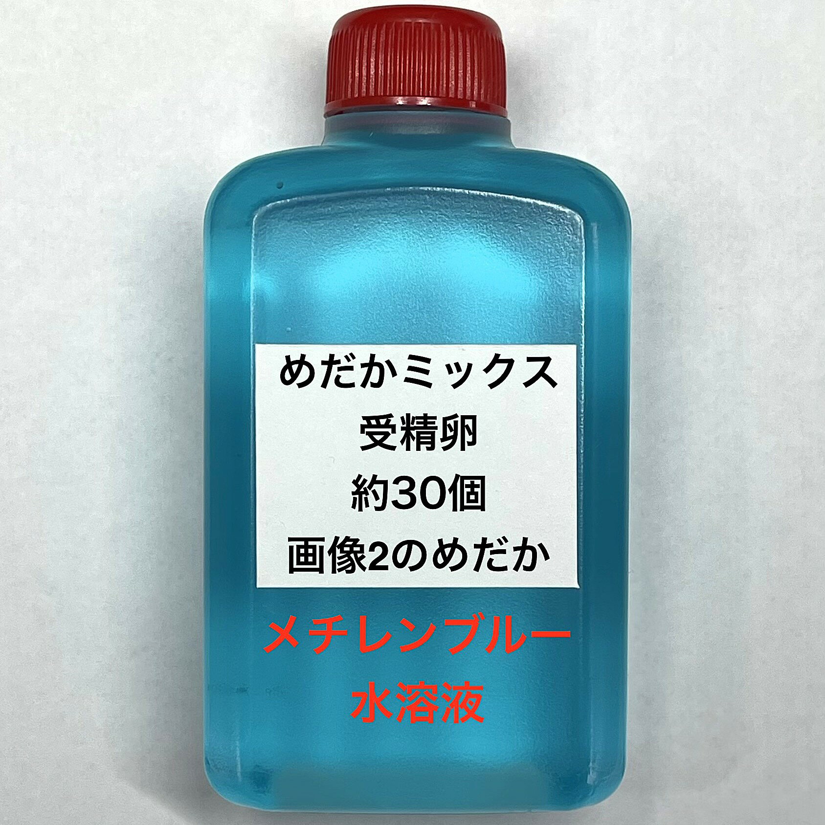 ●※メダカの卵・有精卵初出荷※●メダカミックス★画像2のメダカ【有精卵：30個】：在庫がなくなり次第終了致します。●※スマホでご覧の方は画像左下の動画をタッチしてください親個体の動画が見られます。※●自店舗で生産している画像2のメダカミック...