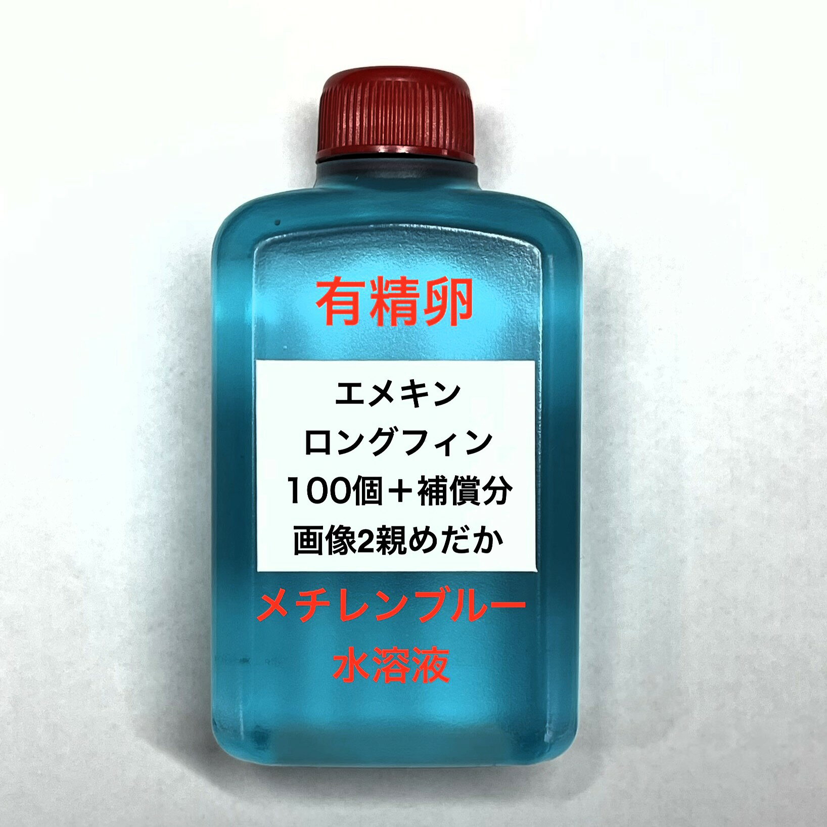 K●※メダカの卵・有精卵初出荷※●エメキンロングフィン★画像2のメダカの卵【エメキンロングフィン有精卵：100個＋補償分】：在庫がなくなり次第終了致します。※●自店舗で生産している画像2のエメキンロングフィンの有精卵を発送致します。卵ですの...