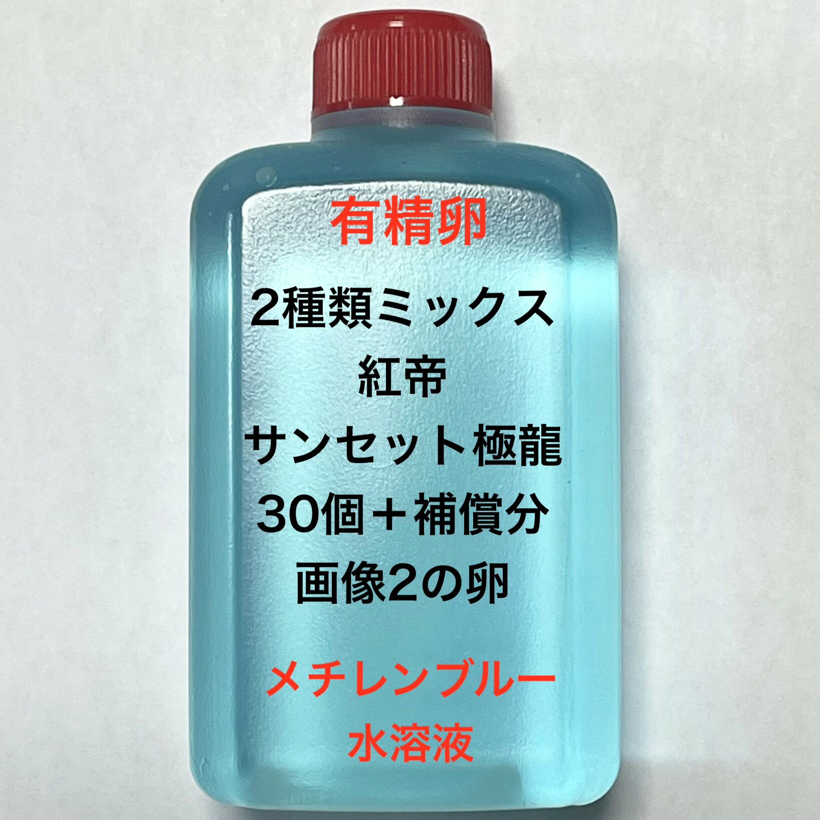 R●※メダカの卵・有精卵初出荷※●2種類ミックス★画像2のメダカの卵【紅帝：サンセット極龍・有精卵：30個＋補償分】：在庫がなくなり次第終了致します。※●自店舗で生産している画像2の2種類ミックスの有精卵を発送致します。卵ですので補償はあり...
