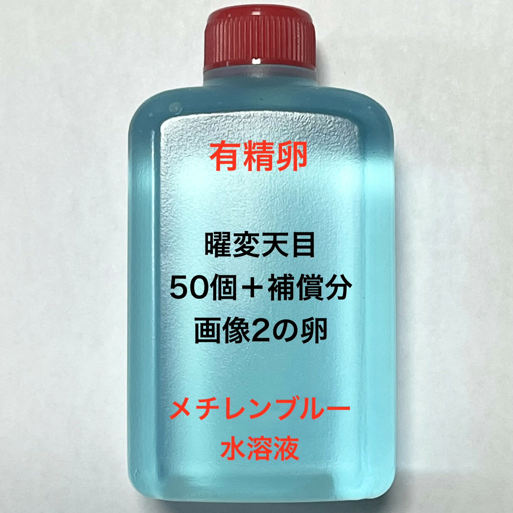 F●※メダカの卵・有精卵初出荷※●曜変天目★画像2のメダカの卵【曜変天目：有精卵：50個＋補償分】：在庫がなくなり次第終了致します。※●自店舗で生産している画像2の曜変天目の有精卵を発送致します。卵ですので補償はありませんが多少多く入れて発...