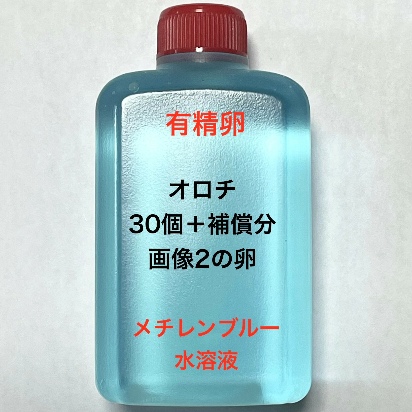 M●※メダカの卵・有精卵初出荷※●オロチ★画像2のメダカの卵【オロチ：有精卵：30個＋補償分】：在庫がなくなり次第終了致します。※●自店舗で生産している画像2のオロチの有精卵を発送致します。卵ですので補償はありませんが多少多く入れて発送いた...