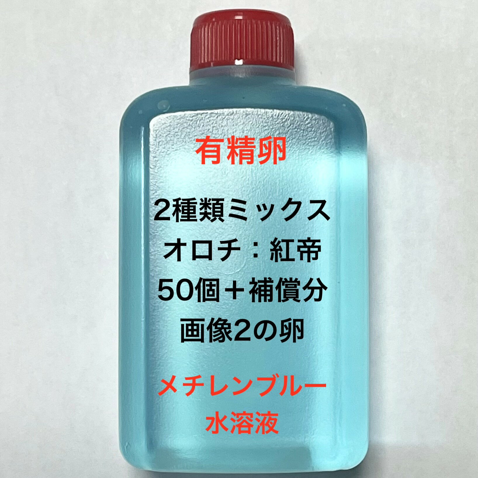 Z●※メダカの卵・有精卵初出荷※●2種類ミックス★画像2のメダカの卵【オロチ：紅帝・有精卵：50個＋補償分】：在庫がなくなり次第終了致します。※●自店舗で生産している画像2の2種類ミックスの有精卵を発送致します。卵ですので補償はありませんが...