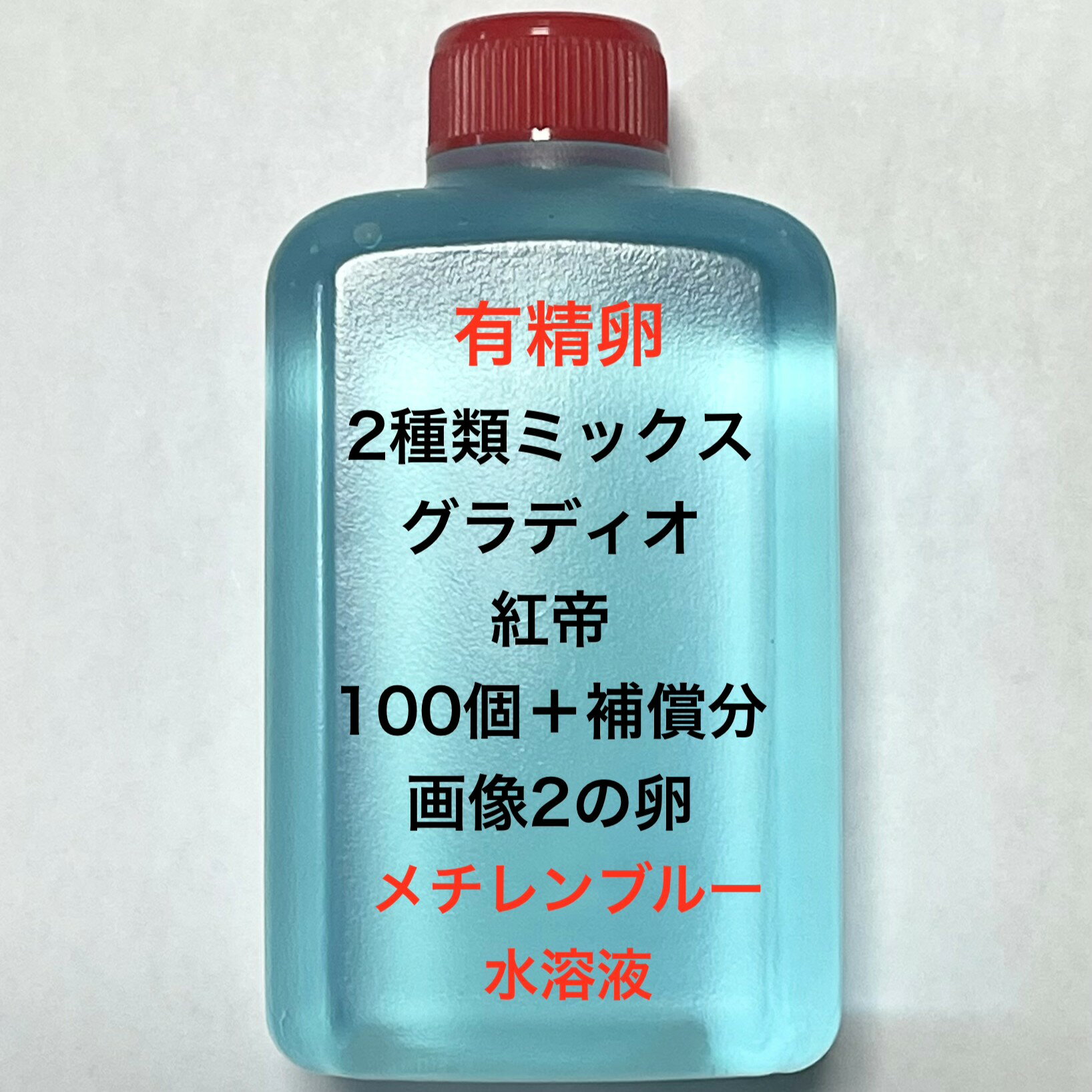 S●※メダカの卵・有精卵初出荷※●2種類ミックス★画像2のメダカの卵【グラディオ：紅帝・有精卵：100個＋補償分】：在庫がなくなり次第終了致します。※●自店舗で生産している画像2.3の2種類ミックスの有精卵を発送致します。卵ですので補償はあ...
