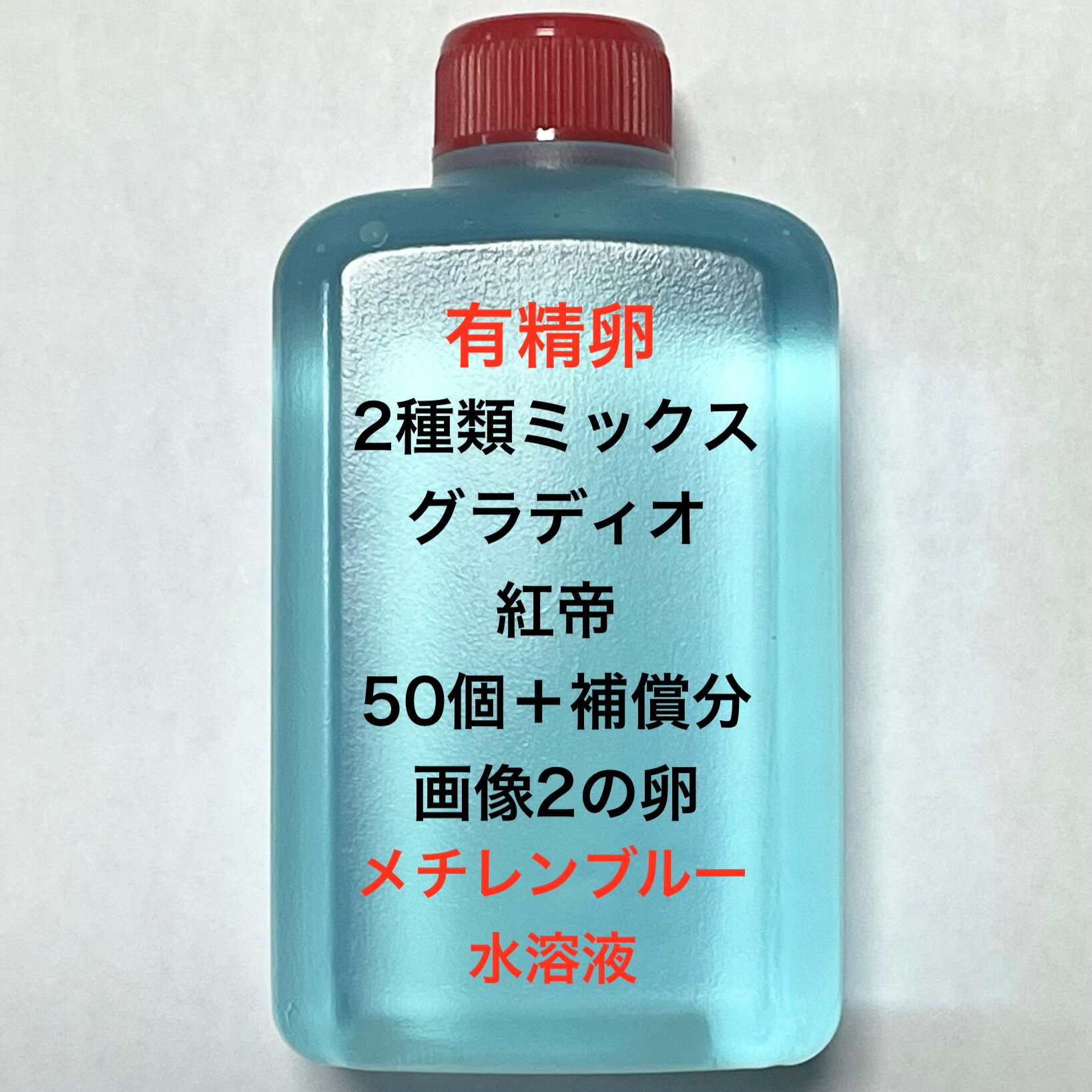 S●※メダカの卵・有精卵初出荷※●2種類ミックス★画像2のメダカの卵【グラディオ：紅帝・有精卵：50個＋補償分】：在庫がなくなり次第終了致します。※●自店舗で生産している画像2.3の2種類ミックスの有精卵を発送致します。卵ですので補償はあり...