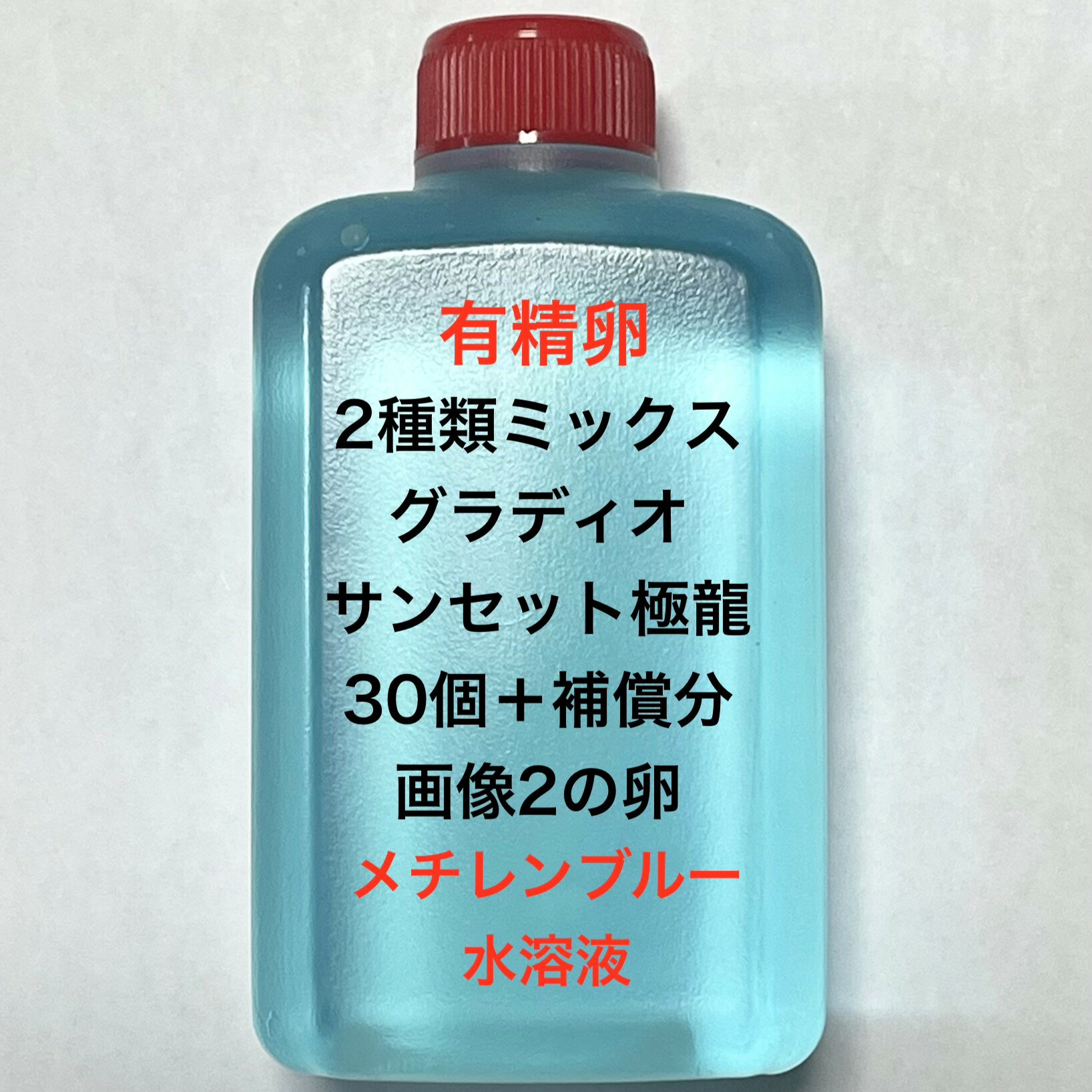 B●※メダカの卵・有精卵初出荷※●2種類ミックス★画像2.3のメダカの卵【グラディオ：サンセット極龍・有精卵：30個＋補償分】：在庫がなくなり次第終了致します。※●自店舗で生産している画像2.3の2種類ミックスの有精卵を発送致します。卵です...
