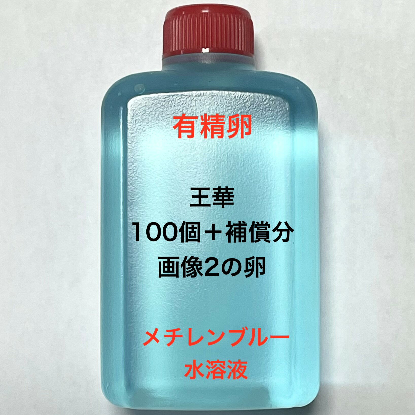 Z●※メダカの卵・有精卵初出荷※●王華★画像2のメダカの卵【王華有精卵：100個＋補償分】：在庫がなくなり次第終了致します。※●自店舗で生産している画像2の有精卵を発送致します。卵ですので補償はありませんが多少多く入れて発送いたします。水カ...