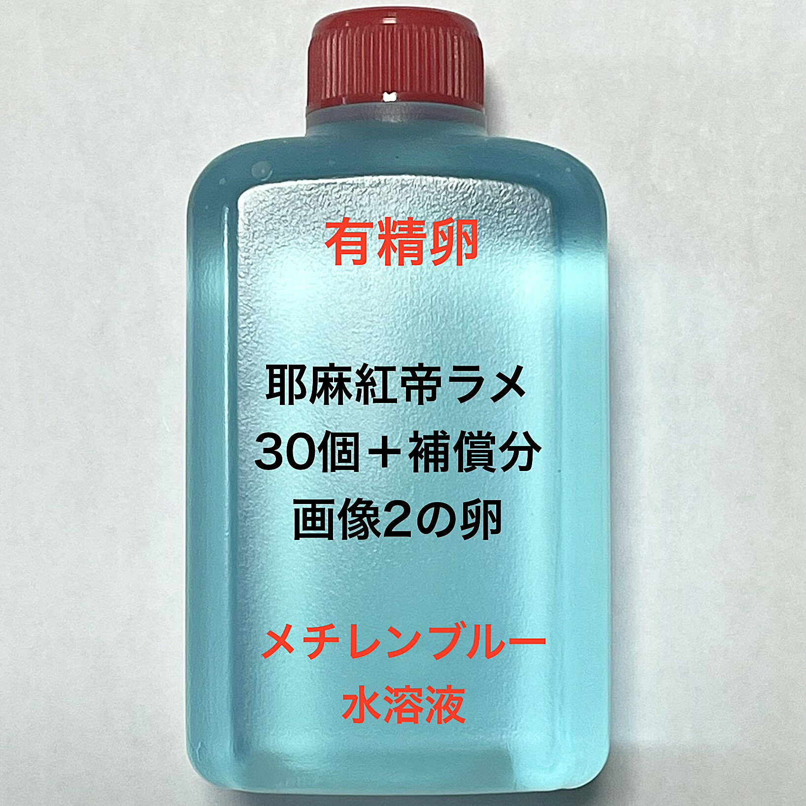 B●※メダカの卵・有精卵初出荷※●耶摩紅帝ラメ★画像2のメダカの卵【耶摩紅帝ラメ有精卵：30個＋補償分】：在庫がなくなり次第終了致します。※●自店舗で生産している画像2の耶摩紅帝ラメの有精卵を発送致します。卵ですので補償はありませんが多少多...