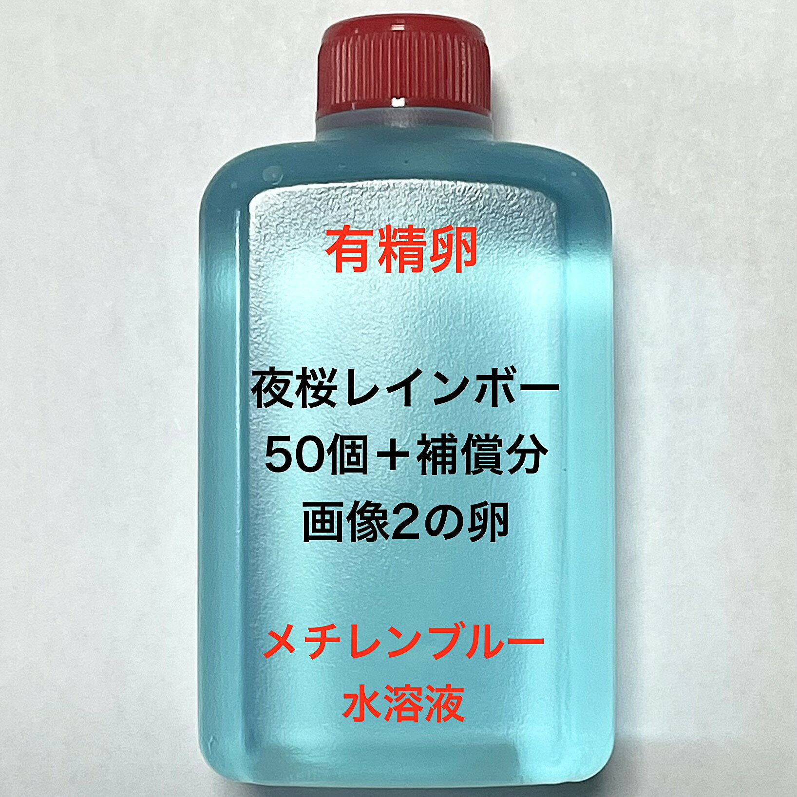 S●※メダカの卵・有精卵初出荷※●夜桜レインボー★画像2のメダカの卵【夜桜レインボー有精卵：50個＋補償分】：在庫がなくなり次第終了致します。※●自店舗で生産している画像2の夜桜レインボーの有精卵を発送致します。卵ですので補償はありませんが...