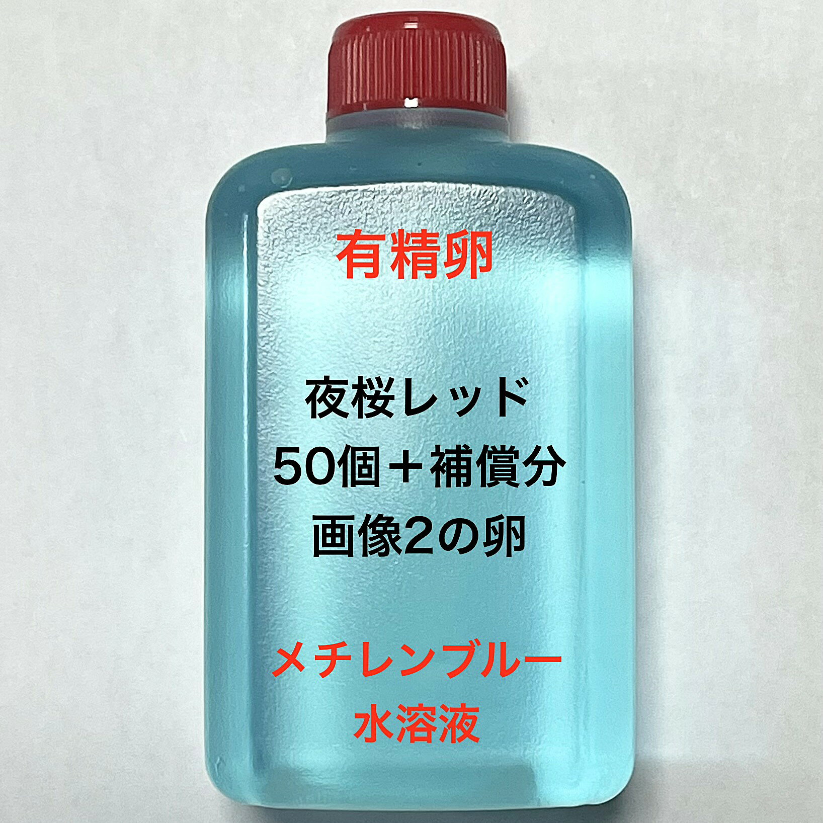 R※メダカの卵・有精卵初出荷※●夜桜レッド★画像2のメダカの卵【夜桜レッド有精卵：50個＋補償分】：在庫がなくなり次第終了致します。※●自店舗で生産している画像2の夜桜レッドの有精卵を発送致します。卵ですので補償はありませんが多少多く入れて...
