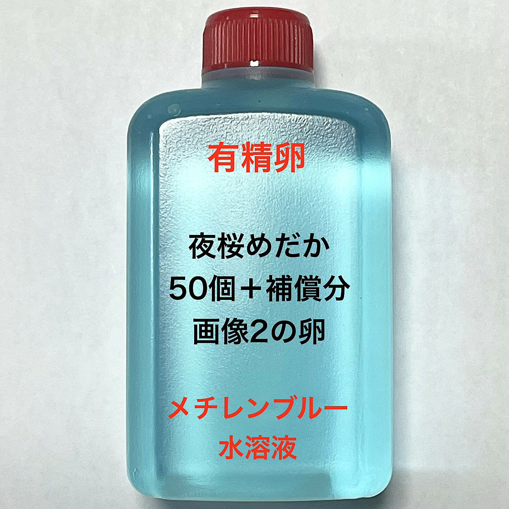 Q※メダカの卵・有精卵初出荷※●夜桜めだか★画像2のメダカの卵【夜桜めだか有精卵：50個＋補償分】：在庫がなくなり次第終了致します。※●自店舗で生産している画像2の夜桜めだかの有精卵を発送致します。卵ですので補償はありませんが多少多く入れて...
