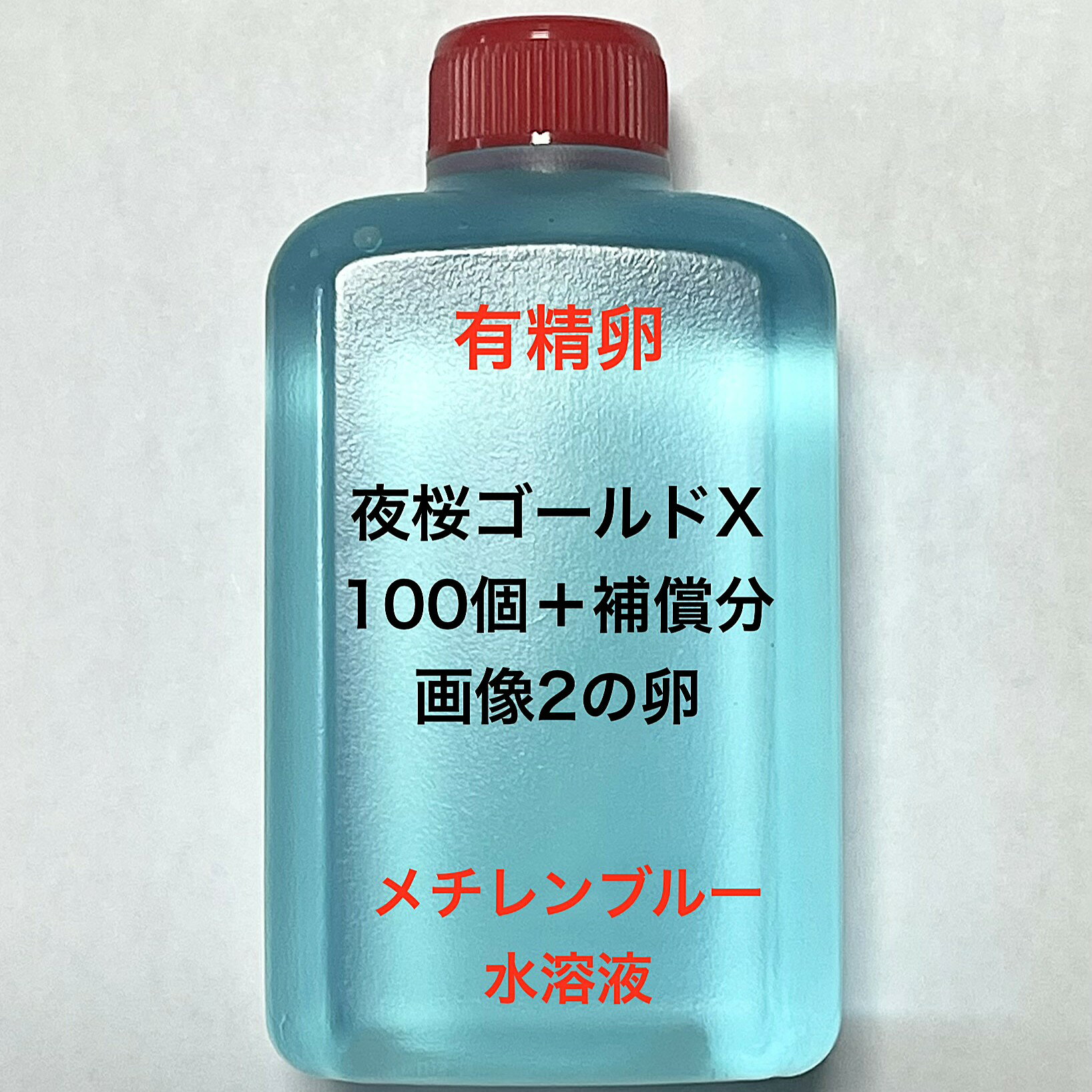 W※メダカの卵・有精卵初出荷※●夜桜ゴールドX★画像2のメダカの卵【夜桜ゴールドX有精卵：100個＋補償分】：在庫がなくなり次第終了致します。※●自店舗で生産している画像2の夜桜ゴールドXの有精卵を発送致します。卵ですので補償はありませんが...