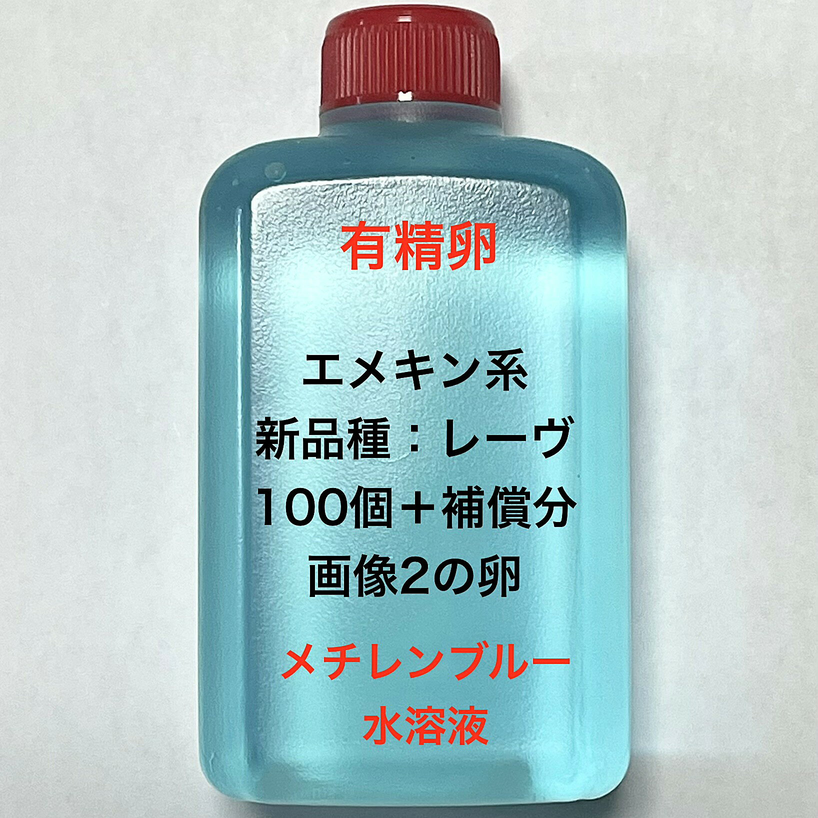 U※メダカの卵・有精卵初出荷※●エメキン系★レーヴ★画像2のメダカの卵【新品種：レーヴ有精卵：100個＋補償分】：在庫がなくなり次第終了致します。※●自店舗で生産している画像2のレーヴの有精卵を発送致します。卵ですので補償はありませんが多少...