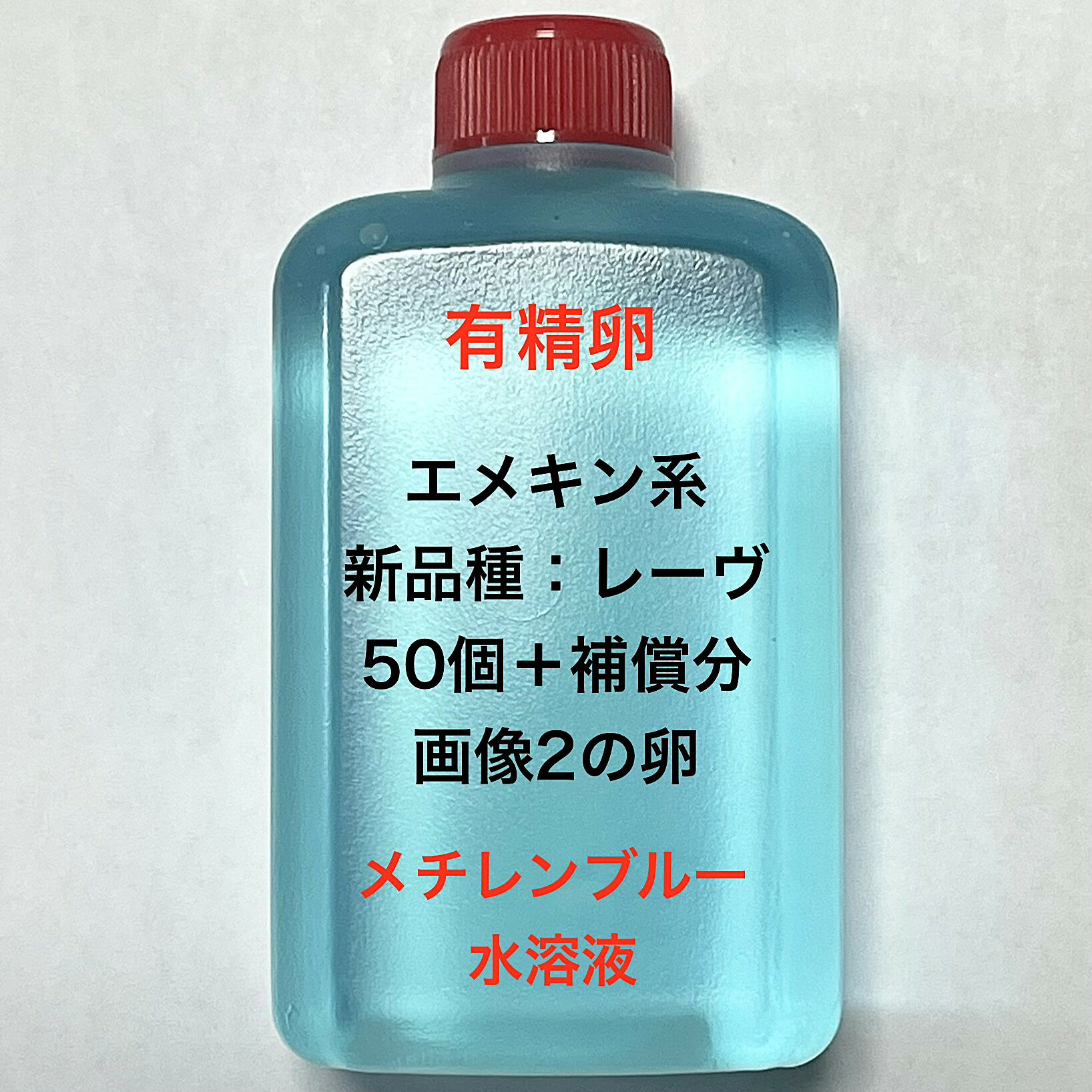 U※メダカの卵・有精卵初出荷※●エメキン系★レーヴ★画像2のメダカの卵【新品種：レーヴ有精卵：50個＋補償分】：在庫がなくなり次第終了致します。※●自店舗で生産している画像2のレーヴの有精卵を発送致します。卵ですので補償はありませんが多少多...