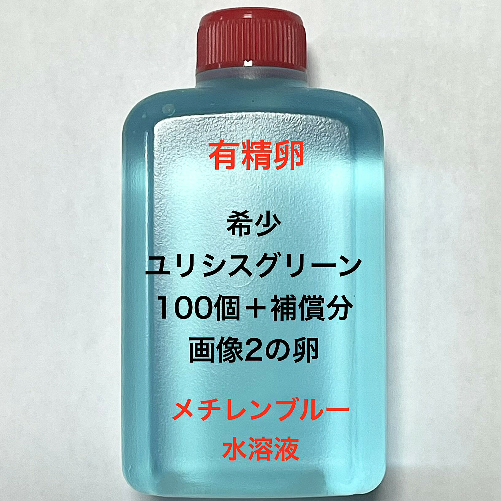 V※メダカの卵・有精卵初出荷※●ユリシス系★グリーン系★画像2のメダカの卵【希少：ユリシスグリーン有精卵：100個＋補償分】：在庫がなくなり次第終了致します。※●自店舗で生産している画像2のユリシスグリーンの有精卵を発送致します。卵ですので...