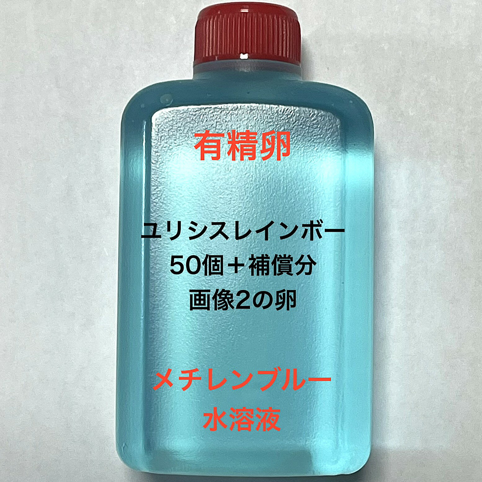 G●※メダカの卵・有精卵初出荷※●ユリシス★画像2のメダカの卵【ユリシスレインボー：50個＋補償分】：在庫がなくなり次第終了致します。※●自店舗で生産している画像2のユリシスレインボーの有精卵を発送致します。卵ですので補償はありませんが多少...